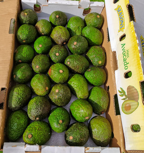 Dole Hass Seasons Avocado (per pc) - Crate2Plate