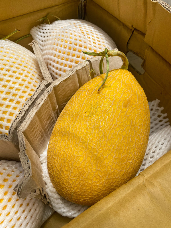Hami Melon - Crate2Plate